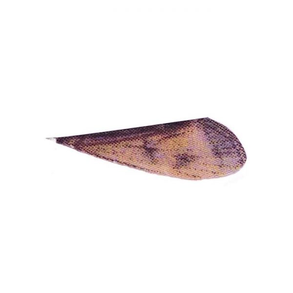 Caddis Fly Wing 21 – Dutch Fly Tying